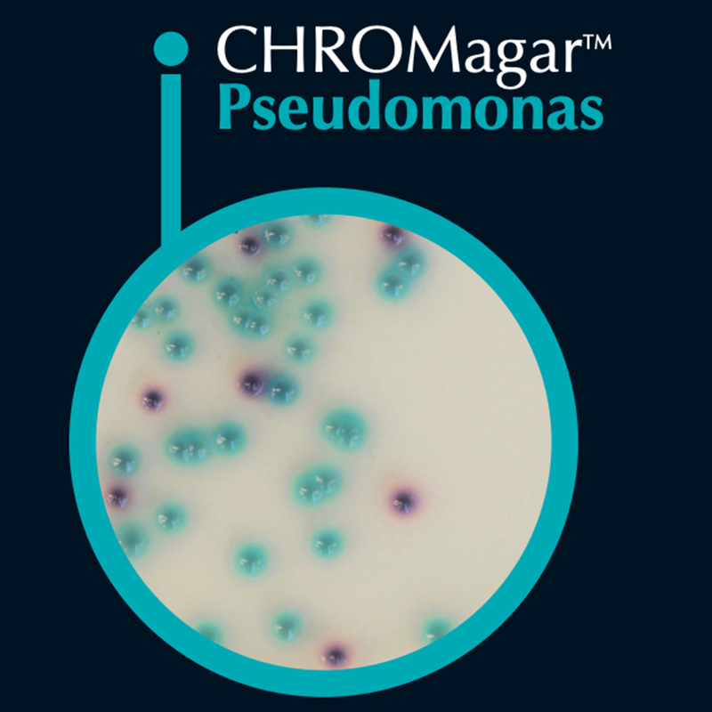 CHROMagar Pseudomonas - Labchem Catalog