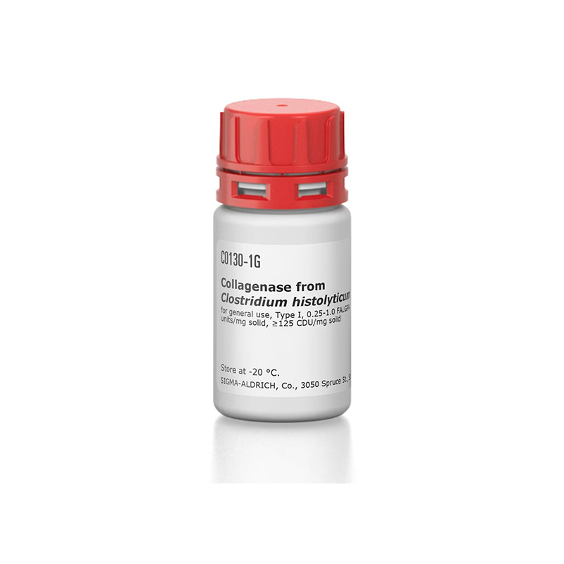 Collagenase from Clostridium histolyticum, for general use, Type I, ≥ ...