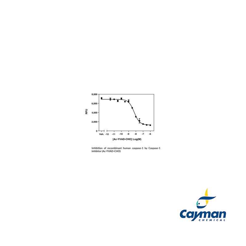 Caspase-1 Inhibitor Screening Assay Kit - Labchem Catalog